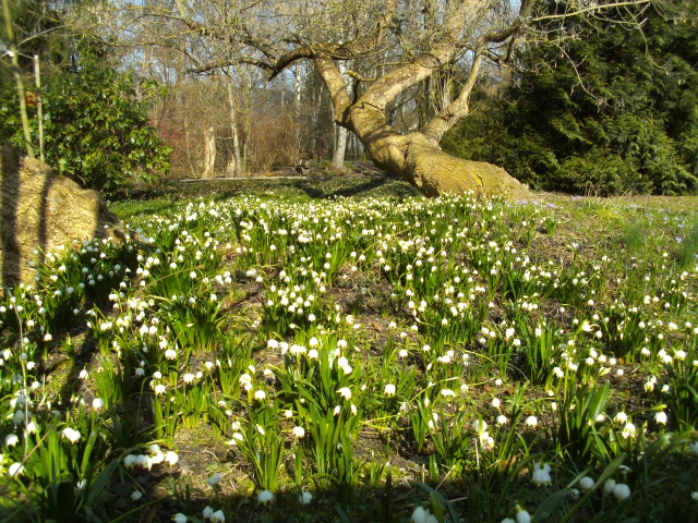 Fotos | Robert-Koch-Park Panketal e.V.